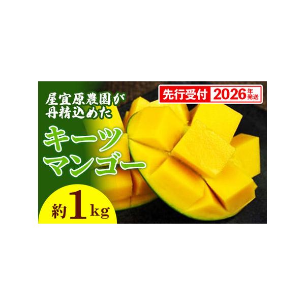 ■ 容量　キーツマンゴー約1kg（1〜2玉）　※玉数指定はできません。■ 配送について　2026年8月上旬〜8月末頃を予定　タイプ：【常温】