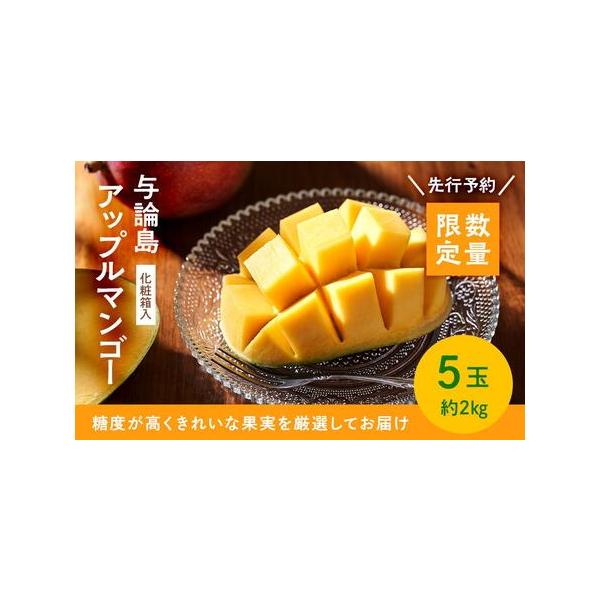 ■ 容量　アップルマンゴー５個約２キロ　品種：アーウイン種（アップルマンゴー）　【賞味期限】　出荷後10日　【アレルギー】　マンゴーはウルシ科に属しますので、まれにかぶれる場合があります。ご注意ください。　※ 表示内容に関しては各事業者の指...