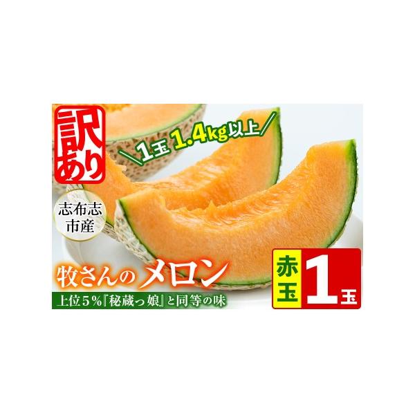 ■ 容量　【訳あり】鹿児島県志布志市産アールスメロン(1玉1.4kg以上)　赤玉×1玉■ 配送について　【配送】入金確認後、4月上旬〜5月上旬頃配送予定　　※お届け日について　配送日の指定はできませんが、３日以上連続するご不在日がございまし...