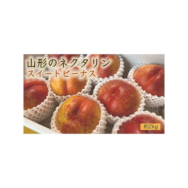 ■ 容量　【令和8年産】　山形産ネクタリン　品種：スイートビーナス　約2kg(5~12玉)　等級：秀品■ 配送について　【申込期日】2026年09月05日まで　【発送期間】2026年08月20日頃〜2026年09月20日頃　※状況により配送...