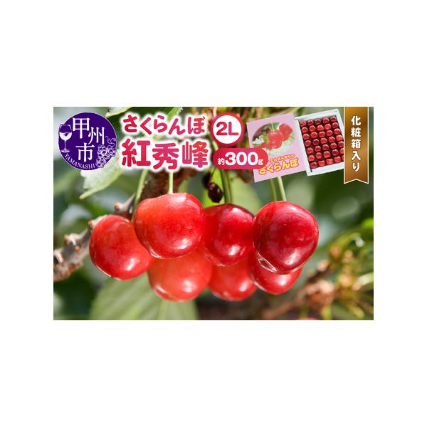 ■ 容量　大粒さくらんぼ 紅秀峰 2Lサイズ 約300g 化粧箱並べ　　【申込期日】　2026年6月中旬頃まで　【消費期限】　到着次第、お早めにお召し上がりください。　【アレルギー品目】　さくらんぼ　　【注意事項】　※上記注意事項を必ずご確...