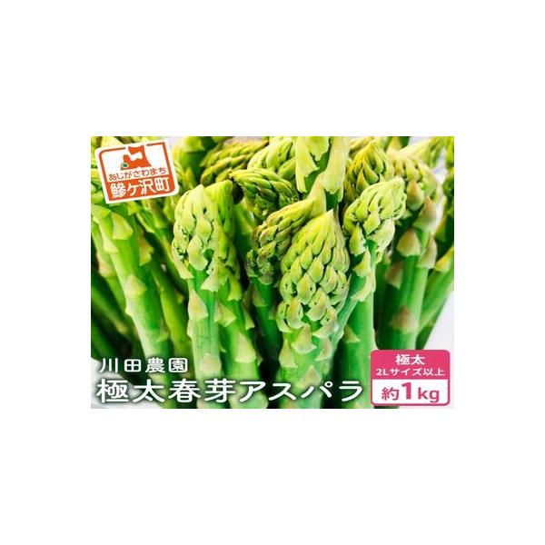 ■ 容量　春芽グリーンアスパラガス 約1kg、2L以上 超極太　■ 配送について　2026年5月10日〜2026年6月5日　　タイプ：【冷蔵】