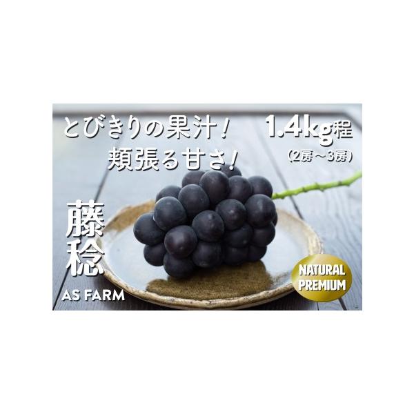 ■ 容量　甲州市産藤稔 約1.4kg（2〜3房）　　【申込期日】　2026年8月上旬頃まで　【消費期限】　到着次第、お早めにお召し上がりください。　　【注意事項】　※上記注意事項を必ずご確認ください。　※画像はイメージです。　※収穫時期によ...