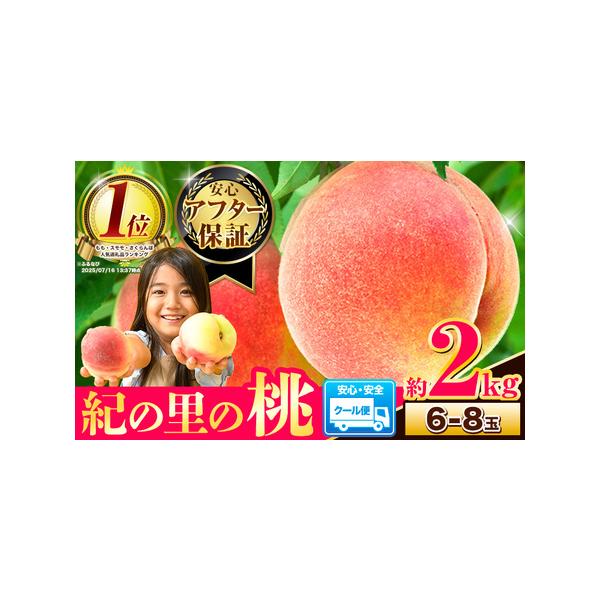 ■ 容量　約2kg(6-8玉入り)■ 配送について　【先行予約】2026年6月中旬-8月中旬頃出荷　配送不可エリア　伊豆諸島・青ヶ島村・利島村・御蔵島村・式根島・小笠原諸島・小笠原村　タイプ：【冷蔵】
