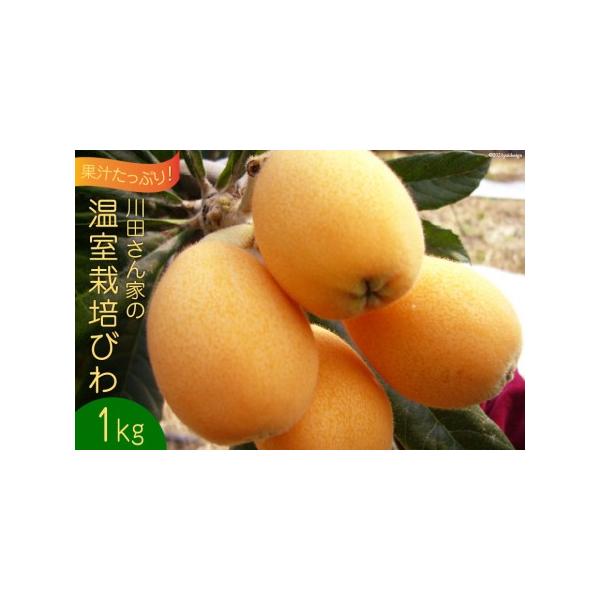 ■ 容量　■内容量　1kg（Lサイズを中心にお送りしますが、生育状況によって多少サイズにばらつきが生じます。）　　■保管方法　冷蔵庫に入れると黒くなるため、常温で保存■ 配送について　2026年4月中旬〜2026年5月初旬において順次出荷　...