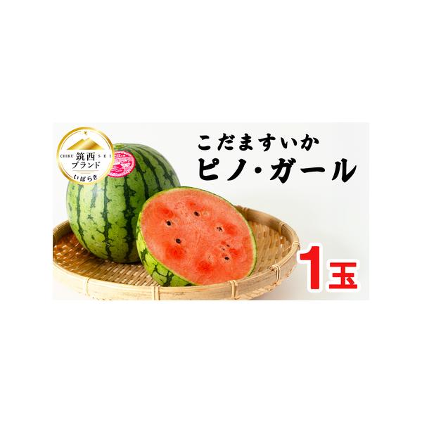 ■ 容量　こだまスイカ  ピノ・ガール1玉　※1玉重量約1.5kg■ 配送について　5月中旬〜6月下旬　※天候や生育状況により時期が前後する場合がございます　タイプ：【常温】