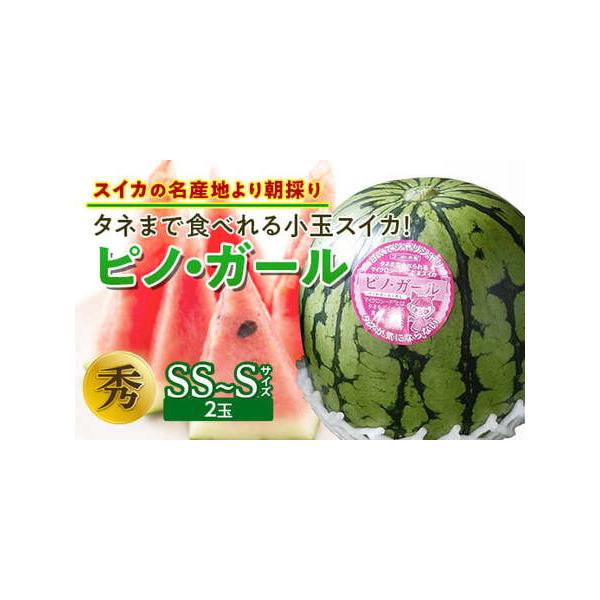 ■ 容量　小玉スイカ　ピノ・ガール　秀　SS〜Sサイズ　2玉■ 配送について　2026年7月中旬〜2026年8月中旬までに順次発送　　タイプ：【常温】