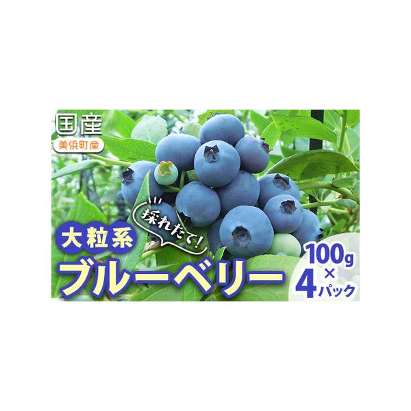 ■ 容量　100g×4パック　■ 配送について　2026年5月上旬?7月上旬頃に順次発送予定　　・天候、収穫状況により変更等ある場合がございます。　・申し込み状況により配送に日数を要する場合がございます。　ご理解の程、よろしくお願い致します...