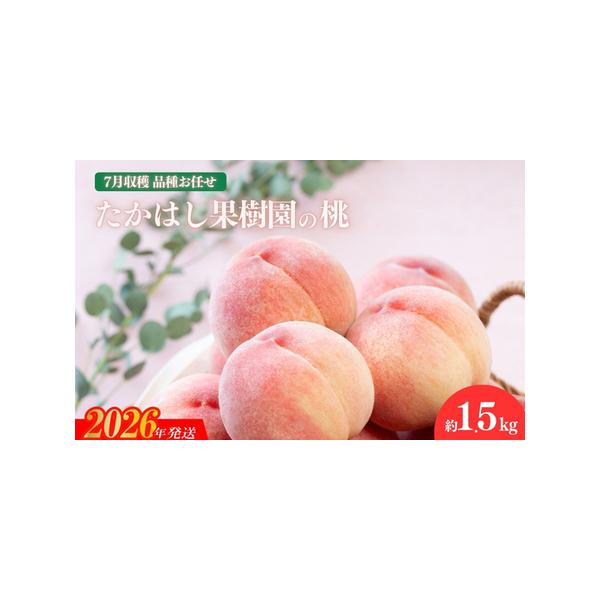 ■ 配送について　発送期日：2026年7月上旬から2026年7月下旬発送予定　タイプ：【冷蔵】