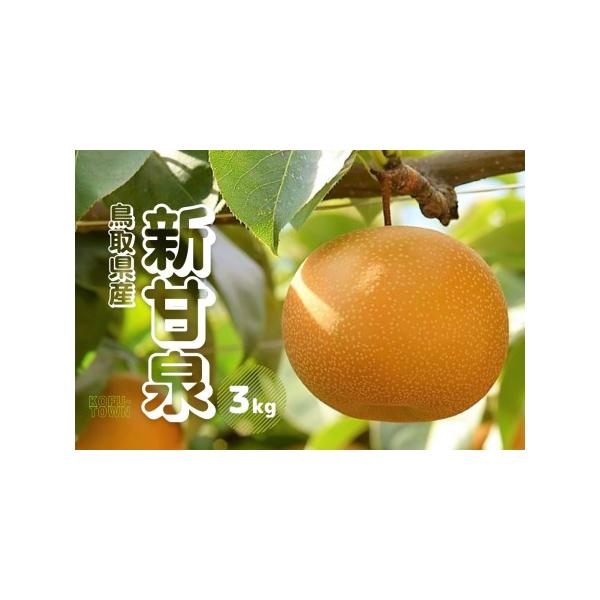 ■ 容量　新甘泉3kg前後（5〜12玉前後）■ 配送について　8月下旬〜9月中旬ごろを予定　タイプ：【常温】