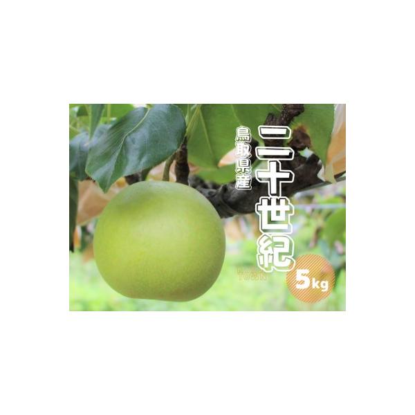 ■ 容量　秀 約5kg（10〜20玉前後）L〜5Lサイズ■ 配送について　8月下旬〜9月下旬ごろを予定　タイプ：【常温】