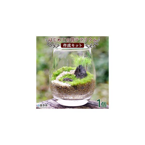 ■ 容量　・グラス型ガラス容器（高さ約11cm　幅約8cm）　・専用のガラスフタ　・苔（ホソバオキナゴケ・ヒノキゴケ5本）　・溶岩石（小3つ）　・化粧砂（適量）　・ベースソイル（150cc）　・取扱説明書　・苔テラリウムの育て方■ 配送につ...