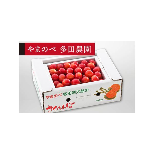 ■ 容量　佐藤錦 500g（バラ詰・L）■ 配送について　6月上旬~6月下旬頃に順次発送　※発送時期は、例年の発送時期を記載しております。天候や収穫状況により変更になる場合があります。　タイプ：【冷蔵】