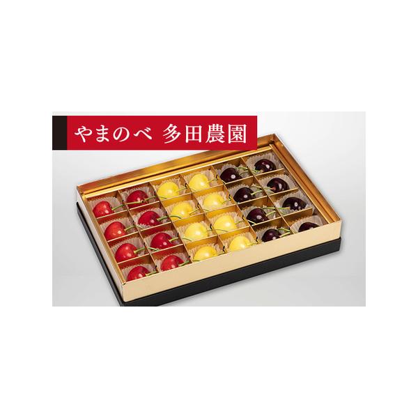 ■ 容量　月山錦・紅秀峰・サミット 24粒（特選みやび箱詰・2Lサイズ以上）　■ 配送について　6月中旬~7月上旬頃に順次発送　※発送時期は、例年の発送時期を記載しております。天候や収穫状況により変更になる場合があります。　タイプ：【冷蔵】