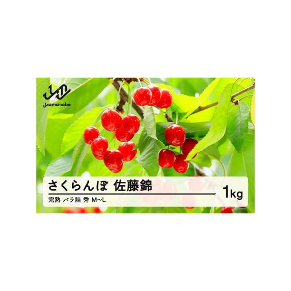 ■ 容量　佐藤錦 1kg（バラ詰・秀・M〜L）■ 配送について　2026年6月中旬〜6月末頃に順次発送　※発送時期は、例年の発送時期を記載しております。天候や収穫状況により変更になる場合があります。　タイプ：【冷蔵】