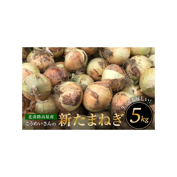 ■ 容量　5kg　　　賞味期限：約1週間〜10日程度　　到着後はなるべくお早めにお召し上がりください。　　配送方法：常温　■ 配送について　2026年4月下旬〜6月上旬頃（天候や収穫の状況により前後する場合がございます）　　タイプ：【常温】