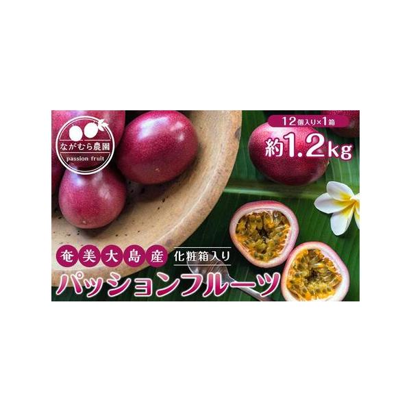 ■ 容量　化粧箱12個入り×1箱（約1.2kg）■ 配送について　2026年6月上旬より順次発送（青果物のため、その年の気候により収穫時期が多少ずれることがあります。）　【受付期間】　〜2026年6月30日　タイプ：【常温】