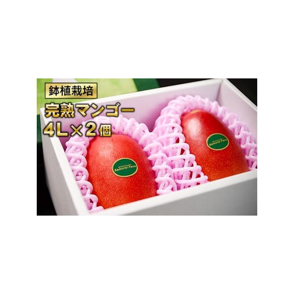 ■ 容量　4Ｌ×２個　※1個あたり476g〜500gになります（サムライファーム基準重量）■ 配送について　令和8年4月下旬〜8月中旬の順次発送予定　※天候等により、収穫が前後する場合がございます　※生鮮食品ですので、ご不在がある場合は必ず...