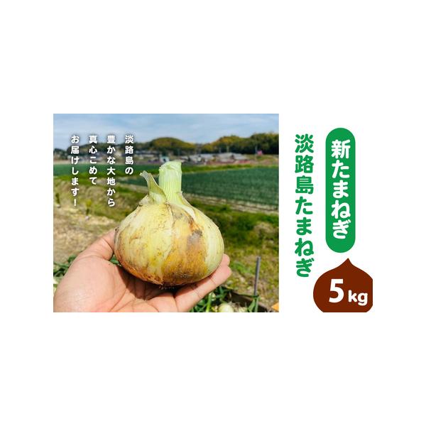 ■ 容量　5kg　　　賞味期限：約10日間（出来るだけお早目にお召し上がりください。）　　配送方法：常温　■ 配送について　2026年5月頃（天候や収穫の状況により前後する場合がございます）　　タイプ：【常温】