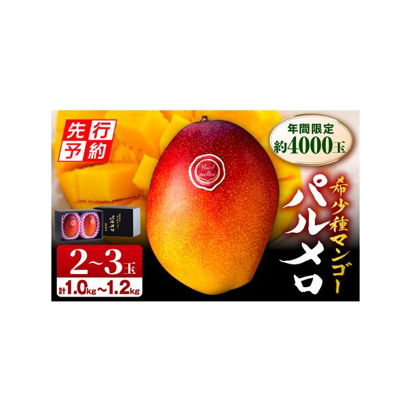 ■ 容量　パルメロ：計 約1.0kg〜1.2kg(2〜3玉入り)　(原産地：宮崎県宮崎市)　■ 配送について　2026年4月〜9月15日までに順次発送予定　※一部離島にはクール便でのお届けが出来ませんのでご注意ください。　タイプ：【冷蔵】