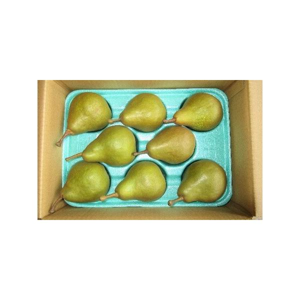 ■ 容量　オーロラ　３ｋｇ　１０玉〜８玉　２Ｌ〜４Ｌサイズ　秀品 　　※玉数・サイズの指定はできません。　※天候により出荷時期や規格（数、サイズ、品種等）を変更する場合がございます。■ 配送について　２０２６年８月下旬　※ご不在日が多く配達...