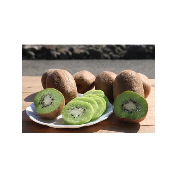 ■ 容量　約1.2kg  M〜4Lサイズ混合　■ 配送について　2026/1/25~2026/4/30頃発送予定　　タイプ：【常温】