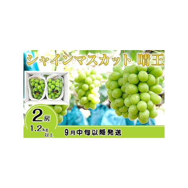 ■ 容量　シャインマスカット晴王2房（1.2kg以上）■ 配送について　※天候などの影響や育成具合により、発送時期が変動する場合があります。※伊豆諸島（大島・八丈島を除く）及び小笠原村（小笠原諸島）への発送は出来ません。　※お申込み時に「到...