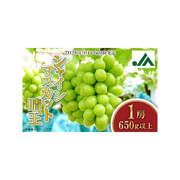 ■ 容量　シャインマスカット 晴王 1房（650g以上）■ 配送について　※天候などの影響や育成具合により、発送時期が変動する場合があります。※伊豆諸島（大島・八丈島を除く）及び小笠原村（小笠原諸島）への発送は出来ません。　※お申込み時に「...