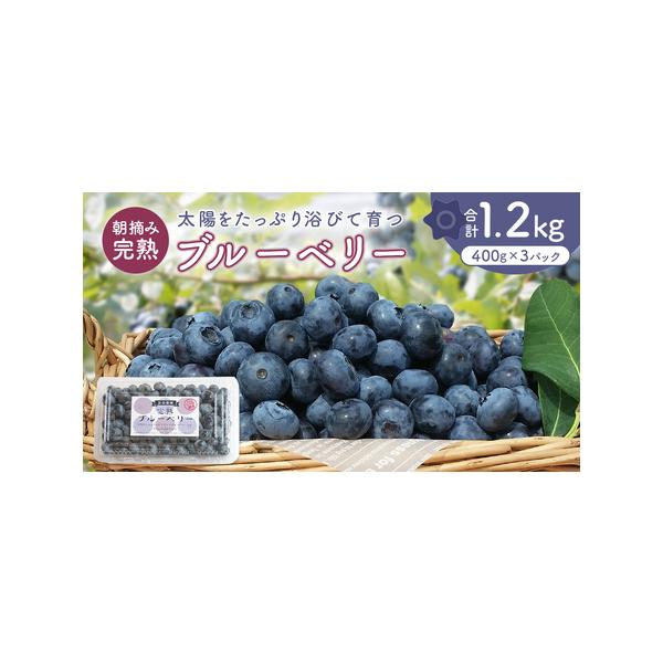 ■ 容量　1.2kg■ 配送について　2026年6月上旬から発送開始　※発送時期は、例年の発送時期になっております。その年の天候や発育によりお届けが遅れる、又は早まることがあります。　　※配送できない地域がございます※　・沖縄県　・伊豆諸島...