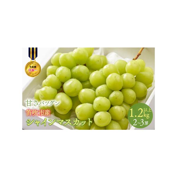 ■ 容量　シャインマスカット　2〜3房　1.2kg以上■ 配送について　8月下旬〜10月上旬にかけて順次発送　配送時にはメールにてご連絡いたします。　　※郵便振込の場合、振込用紙の到着後３日以内にお振込ください。　　銀行振込をご希望の場合、...