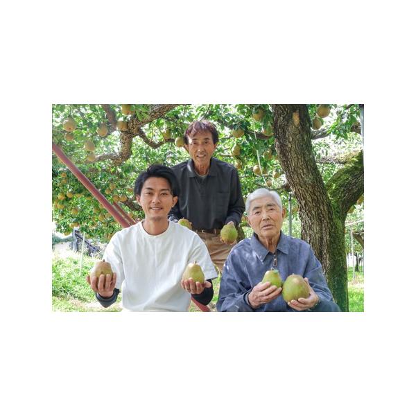 ■ 容量　ラ・フランス　３ｋｇ　７玉〜１０玉　５Ｌ〜２Ｌ　ご家庭用　　※玉数・サイズの指定はできません。　※天候により出荷時期や規格（数、サイズ、品種等）を変更する場合がございます。■ 配送について　２０２５年１１月上旬〜２０２６年１月上旬...