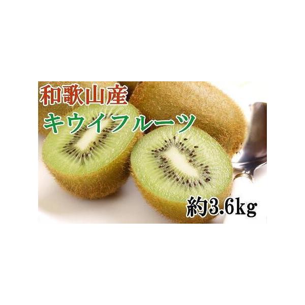 ■ 容量　キウイフルーツ：1箱約3.6kg（24玉〜36玉のいずれかおまかせ)　　【賞味期限】　発送から10日　　【アレルギー】　キウイフルーツ　　　　※ 表示内容に関しては各事業者の指定に基づき掲載しており、一切の内容を保証するものではご...