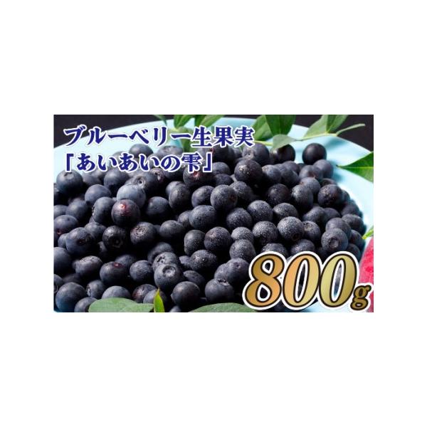 ■ 容量　〇ブルーベリー生果実8(各100g) 　　【消費期限】出荷日含む5日■ 配送について　2026年5月下旬から6月下旬まで　※天候により出荷時期が多少前後します　　※生育状況に合わせ出荷致しますので、３個口以上ご注文の場合は、 発送...