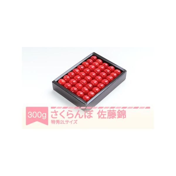 ■ 容量　特秀2Lサイズ 300g■ 配送について　6月中旬~6月下旬頃に順次発送　※生育の状況により多少前後することがあります。　タイプ：【冷蔵】