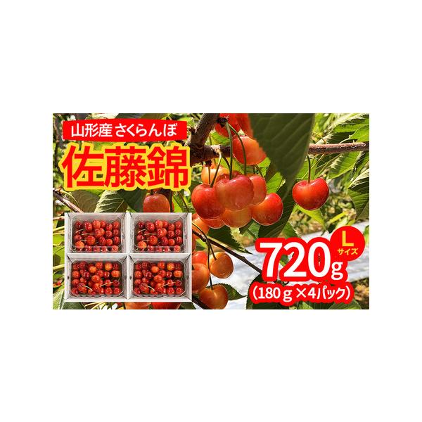 ■ 容量　【令和8年産】　さくらんぼ 佐藤錦 Lサイズ以上 720g(180g×4パック)■ 配送について　【申込期日】2026年05月31日まで　【発送期間】2026年06月01日頃〜2026年06月30日頃　※状況により配送時期が前後す...