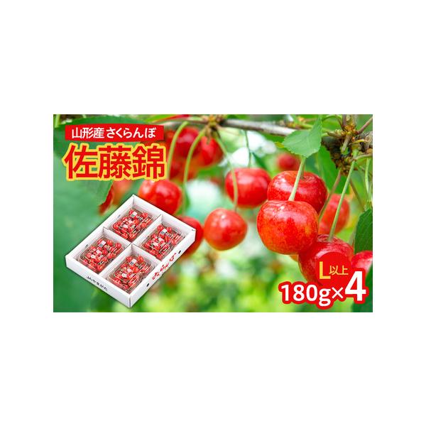 ■ 容量　【令和8年産】　山形市産 さくらんぼ 佐藤錦 L以上 720g(180g×4パック) バラ詰め■ 配送について　【申込期日】2026年05月21日まで　【発送期間】2026年06月15日頃〜2026年06月30日頃　※状況により配...