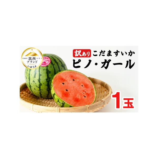 ■ 容量　訳あり ピノ・ガール1玉　※1玉重量約1.5kg　■ 配送について　5月中旬〜6月下旬　※天候や生育状況により時期が前後する場合がございます　タイプ：【常温】