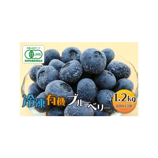 ■ 容量　冷凍有機ブルーベリー400g×3袋（計1.2kg）　※使いやすいように400g（ジッパー付き）を3袋小分けにしてお届けいたします■ 配送について　2026年7月中旬から順次発送いたします　タイプ：【冷凍】