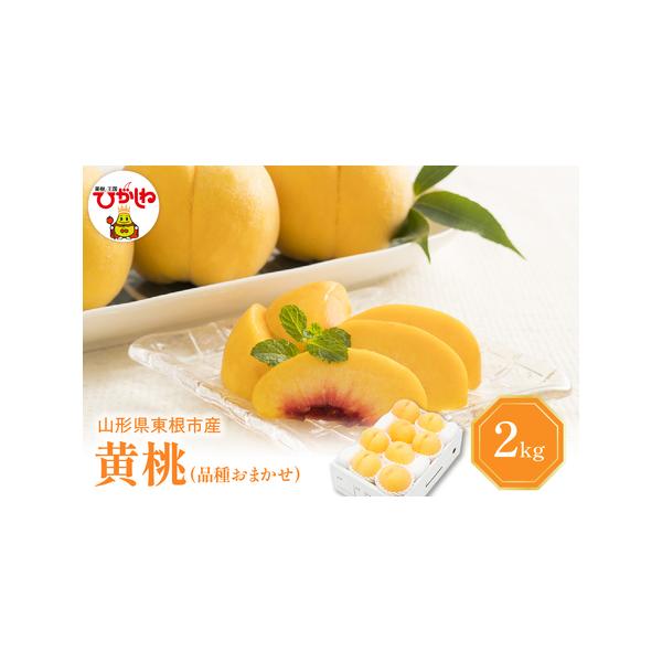■ 容量　■内容量　黄桃2kg（約5〜9玉）化粧箱入り　　■賞味期限　生ものですのでお早めにお召し上がりください。　お届けから2〜3日様子を見ながら追熟していただき、追熟後はお早めにお召し上がりください。　※桃は柔らかい桃と硬い桃がございま...