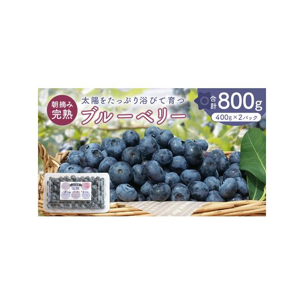 ■ 容量　800g■ 配送について　2026年6月上旬から発送開始　※発送時期は、例年の発送時期になっております。その年の天候や発育によりお届けが遅れる、又は早まることがあります。　　※配送できない地域がございます※　・沖縄県　・伊豆諸島：...