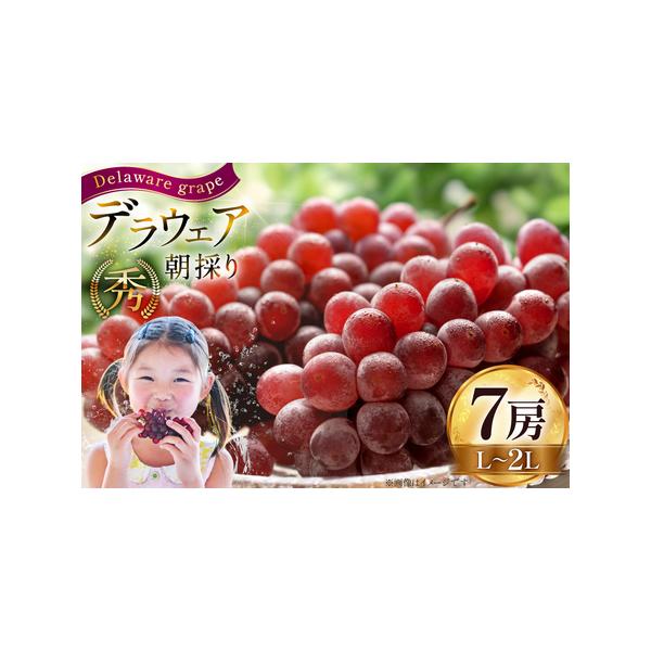 ■ 容量　高畠町産 デラウェア秀 L〜2L 約1kg(7房)　※サイズの指定はできません。　※状況により房数を変更させていただく場合がございます。　　■消費期限　発送日＋5日■ 配送について　2026年7月下旬〜2026年8月中旬において順...