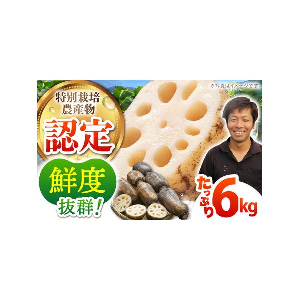 ■ 容量　■内容量　・蓮根6kg（3kg×2）　　■原産地　佐賀県江北町■ 配送について　生鮮食品になりますので、お受け取りができないお日にちがある場合は必ず備考欄に記入をお願いいたします。指定日配送は承りかねます。　　※9月?10月はクー...