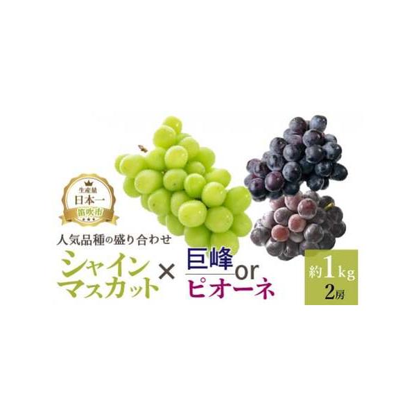 ■ 容量　シャインマスカット 巨峰orピオーネ 1.0kg■ 配送について　８月上旬〜11月上旬予定　（発送時期が変動する場合がございますのでご了承ください。）　　発送前にはメールでご連絡いたします。　※郵便振込の場合、振込用紙の到着後３日...
