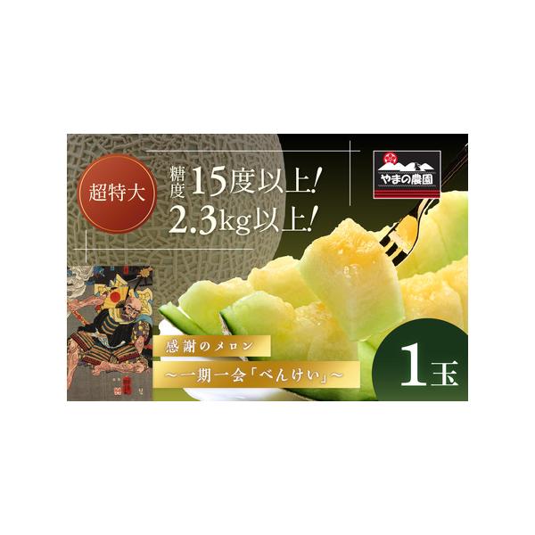 ■ 容量　約2.3kg以上×1玉■ 配送について　2026年7月中旬より順次発送予定　タイプ：【常温】