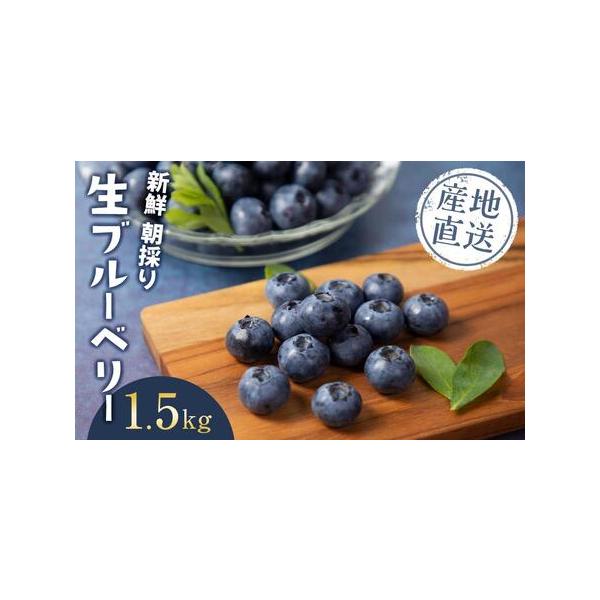 ■ 容量　250g×6パック　　　　　　　合計：1.5kg　【賞味期限】　出荷後5日■ 配送について　寄附金受領確認後、2026年6月下旬〜8月初旬ごろに順次発送します。　【受付期間】　2025年11月11日〜2026年7月25日　タイプ：...