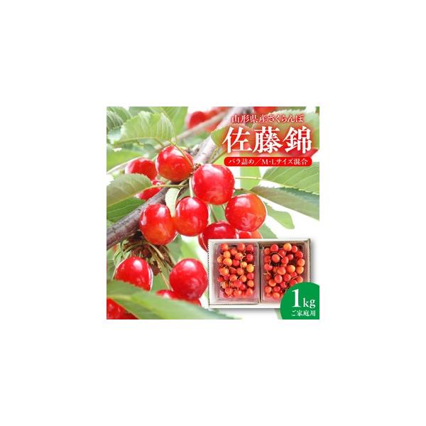 ■ 容量　佐藤錦　１ｋｇ　Ｍ・Ｌサイズ混合　バラ詰め　ご家庭用　※サイズの指定はできません。　※天候により出荷時期や規格（数、サイズ、品種等）を変更する場合がございます。■ 配送について　２０２６年６月上旬〜６月下旬迄　※ご不在日が多く配達...