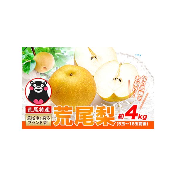 ■ 容量　旬の梨（品種：幸水梨、豊水梨、あきづき、新高梨、甘太、新興梨、あたご梨、秋麗のいずれか）■ 配送について　2026年8月下旬‐11月中旬頃出荷　タイプ：【冷蔵】