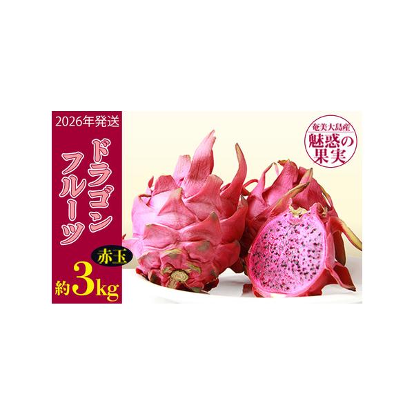 ■ 容量　ドラゴンフルーツ(赤玉)約3kg(6〜12玉)■ 配送について　2026年8月上旬〜11月中旬にかけて発送予定　タイプ：【冷蔵】