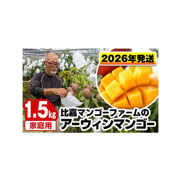 ■ 容量　マンゴー　1.5kg（3玉〜5玉）　※玉数の指定はできません。　※多少のキズがあるため、ご家庭用としてお召し上がりください。　　消費期限：青果物のため、早めにお召し上がり下さい。　　アレルギー：ウルシ科■ 配送について　申込期日：...