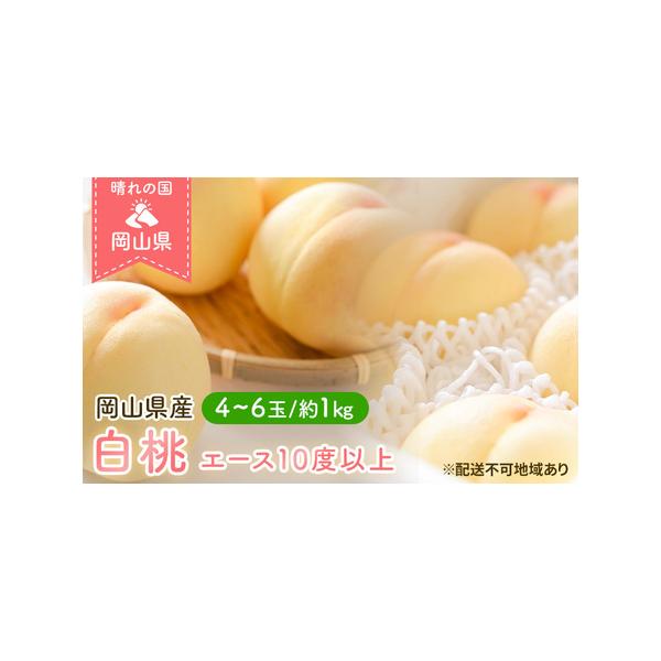 ■ 容量　岡山白桃 エース 4〜6玉 約1kg（早生種・中生種）　岡山県内産（5条8号ハ）　※お届け日、時間の指定は申し訳ないですが、お受けできません。　※品種の指定、および果実の大きさや玉数等をご指定いただくことはできません。　※品種によ...